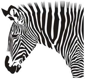 Samolepka na zeď Zebra, nálepka na stěnu (12647)