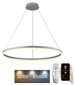 Brilagi - LED Stmívatelný lustr na lanku CIRCLE LED/55W/230V 3000-6500K + DO