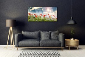 Obraz na skle Louka Květiny Slunce Příroda 100x50 cm