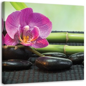 Gario Obraz na plátně Kvetoucí orchidej na černých kamenech Rozměry: 30 x 30 cm