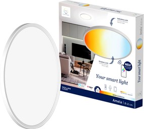 XXXLutz STROPNÍ SVÍTIDLO, 30/2,9/30 cm Tint - Online Only svítidla - 004767018502
