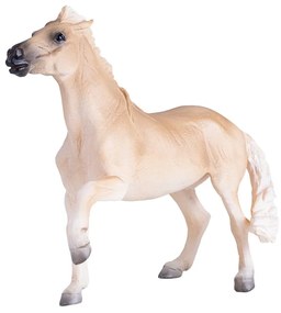Mojo Kobyla Brumby