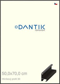 DANTIK rámeček 50x70 | ALU profil 6030 Dýha černá (Plexi Čiré)