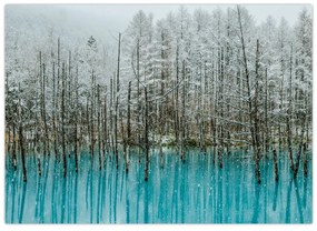 Skleněný obraz - Tyrkysový rybník, Biei, Japonsko (70x50 cm)