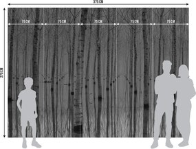 Fototapeta na míru Břízová Reflexe | Vliesová fototapeta na zed' | DFTNXXL3004