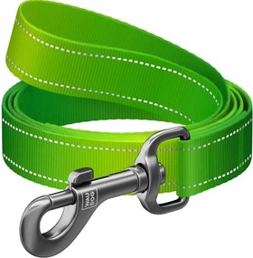 Vodítko nylon WAUDOG Mono 2,5x200cm světle zelené