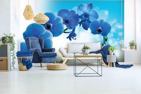 Malvis ® Tapeta Orchidej modrá Vel. (šířka x výška): 504 x 310 cm