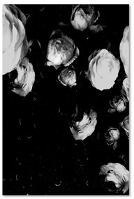 Gario Obraz na plátně Černobílé pivoňky - Dmitry Belov Rozměry: 40 x 60 cm