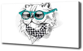 Wallmuralia Foto obraz na plátně Kočka v brýlích 100x50