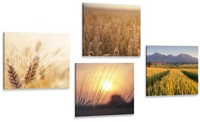 Set obrazů kouzlo přírody - 4x 60x60 cm