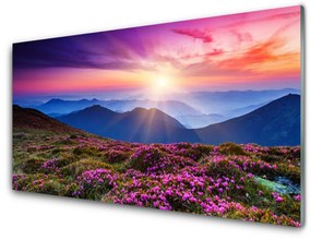 Obraz na skle Hora Louka Květiny Krajina 120x60 cm