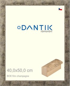 DANTIK rámeček 40x50 | BOX film champagne (Plexi Čiré)