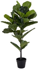 HOUSE NORDIC Dekorativní rostlina Fiddle Leaf Tree 100 cm