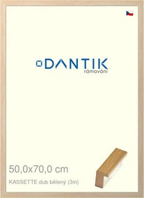 DANTIK rámeček 50x70 | KASSETTE dub bělený (Plexi Čiré)