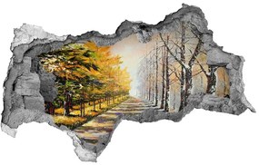 Wallmuralia Díra 3D fototapeta nástěnná Podzim zima 95x73 cm