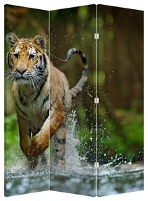 Paraván - Běžící tygr (126x170 cm)