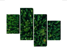 Vícedílný obraz Letecký Pohled Na Zelený Les Nedostatek Nedostatek Přírodní plátno 240x150