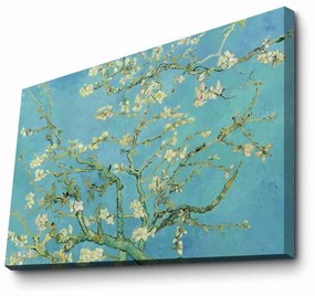 Obraz ALMOND BLOSSOM od V. V. GOGHA 70x100 cm