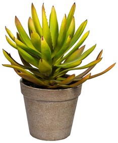 Gasper Umělá rostlina Aloe plicatilis, 24 cm