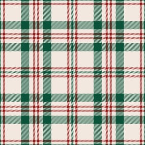 Bavlněné povlečení WINTER PLAID barevné hotelová kapsa Rozměr povlečení: 70 x 90 cm | 140 x 200 cm
