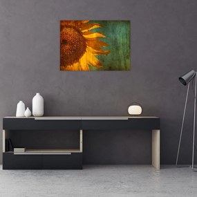 Skleněný obraz - Slunečnice (70x50 cm)