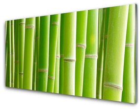 akrylový obraz Bambus Stonek Květ Rostlina 100x50 cm