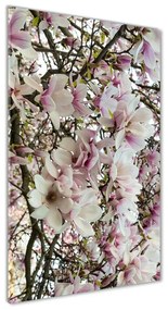 Wallmuralia Vertikální Fotoobraz na skle Květy magnolie 50x100