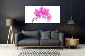 Plexisklo-obraz Vstavač Květ Orchidej 120x60 cm