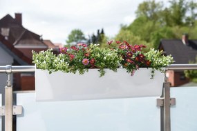 Balkonový truhlík BALKONA CLASSICO, plast, šířka 80 cm, bílý lesk