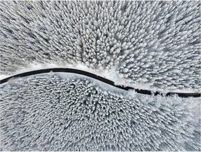 Tomáš Neuwirth | Mrazivá cesta Rám: Černý, Velikost: 70 x 100 cm