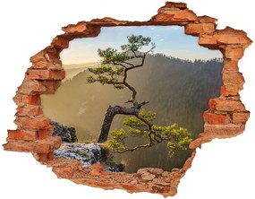 Wallmuralia Nálepka fototapeta 3D výhled Sokolice Pieniny 90x70 cm