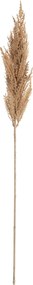 Větvička pampové trávy 90cm beige