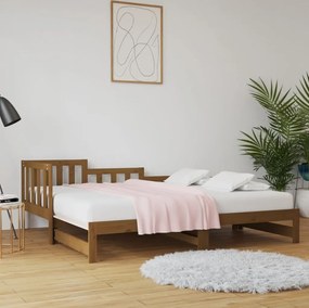 vidaXL Výsuvná postel 2x (90 x 200) cm masivní borovice [820744] Barva: medová hnědá
