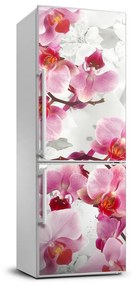 Wallmuralia Foto tapeta na ledničku Růžová orchidej 60x180 cm