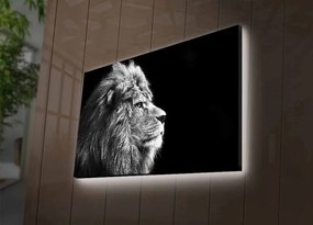 Obraz s LED osvětlením ČERNOBÍLÝ LEV 58 45 x 70 cm