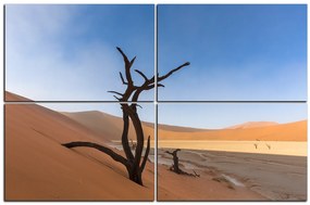 Obraz na plátně - Mrtvý strom v dunách 1130E (150x100 cm)