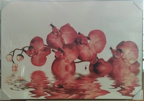 Bondecor Obraz "Kytka red" - tisk na papír na MDF desku,100x70cm