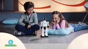 Made Robot Zigybot s funkcí času, 20 funkcí