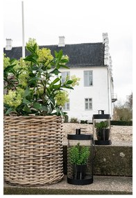 Umělá rostlina Skimmia – House Nordic