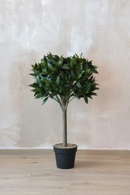 Umělý vavřín LAURUS, plast, výška 90 cm, zelená
