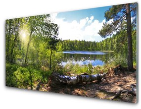 Obraz na skle Les Stromy Jezero Příroda 125x50 cm