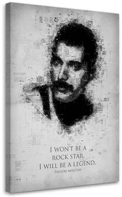 Gario Obraz na plátně Freddie Mercury - Gab Fernando Rozměry: 40 x 60 cm