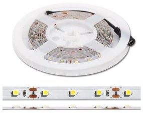 Ecolite LED páska DX-SMD3528-BI/5M LED set vč.adpt., 60xSMD/m, 5m, 4.8W/m, IP2