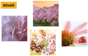 Set obrazů rozkvět přírody - 4x 40x40 cm
