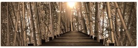 Obraz na plátně - Dřevěná promenáda v bambusovém lese - panoráma 5172FA (120x45 cm)