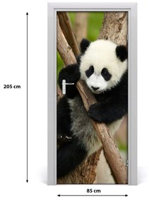 Samolepící fototapeta na dveře Panda na stromě 85x205 cm