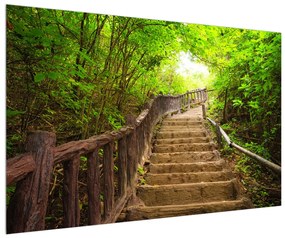 Letní obraz schodů v přírodě (120x80 cm)