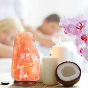 Solná lampa SALLY 1xE14/25W/230V