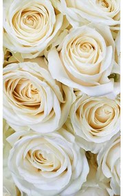 Dvoudílná vliesová fototapeta Bílé růže, rozměr 150x250cm, MS-2-0137
