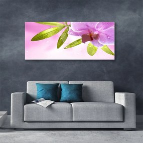 akrylový obraz Květ Listy Rostlina 125x50 cm